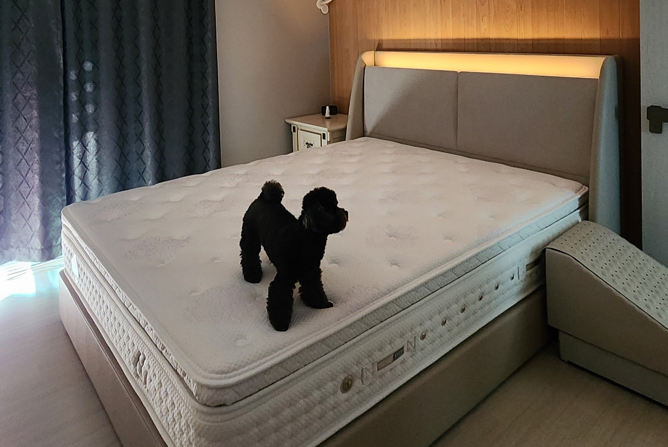 고객후기 | 에이스 스토리 | 에이스침대